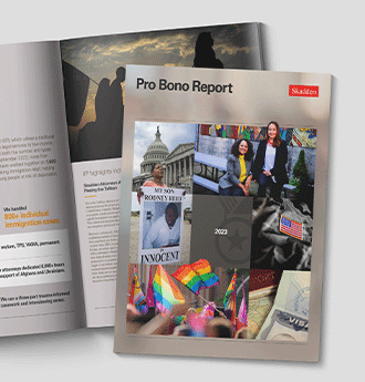 Overview | Pro Bono | About | Skadden, Arps, Slate, Meagher & Flom LLP