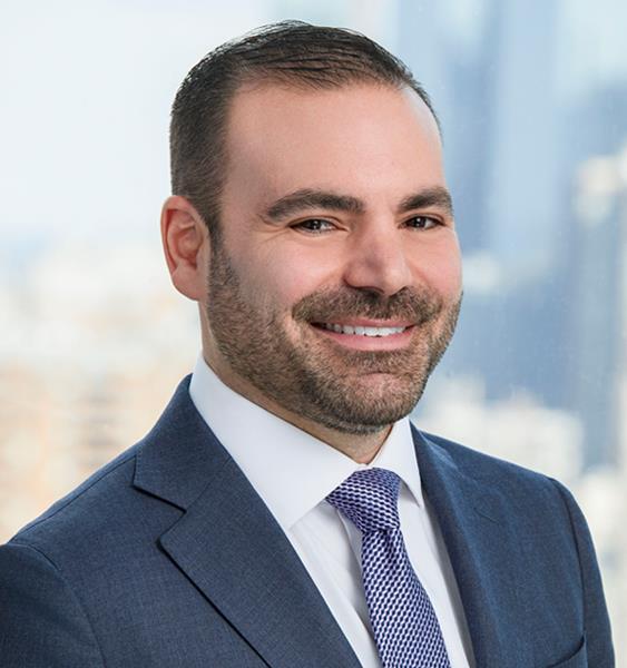 Steven J. Porzio | Professionals | Skadden, Arps, Slate, Meagher & Flom LLP