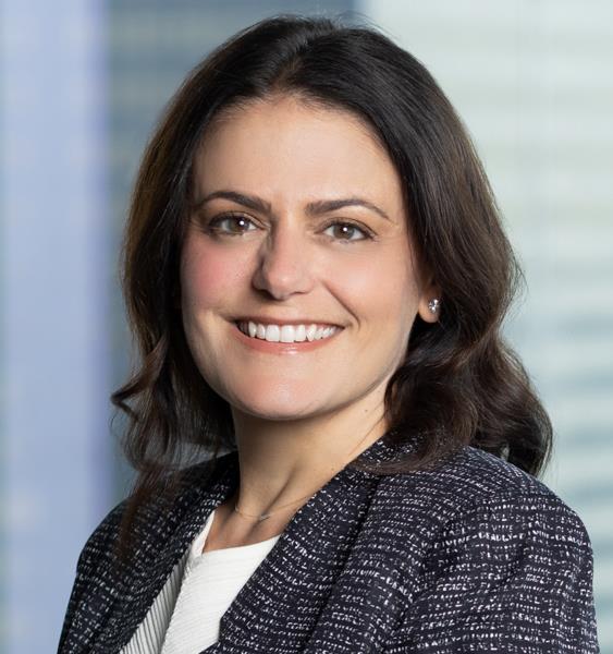 Amy Van Gelder | Professionals | Skadden, Arps, Slate, Meagher & Flom LLP